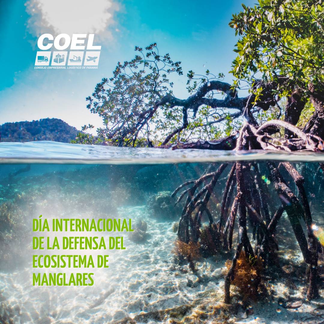 Día Internacional de la defensa del Ecosistema Manglar. | COEL ...